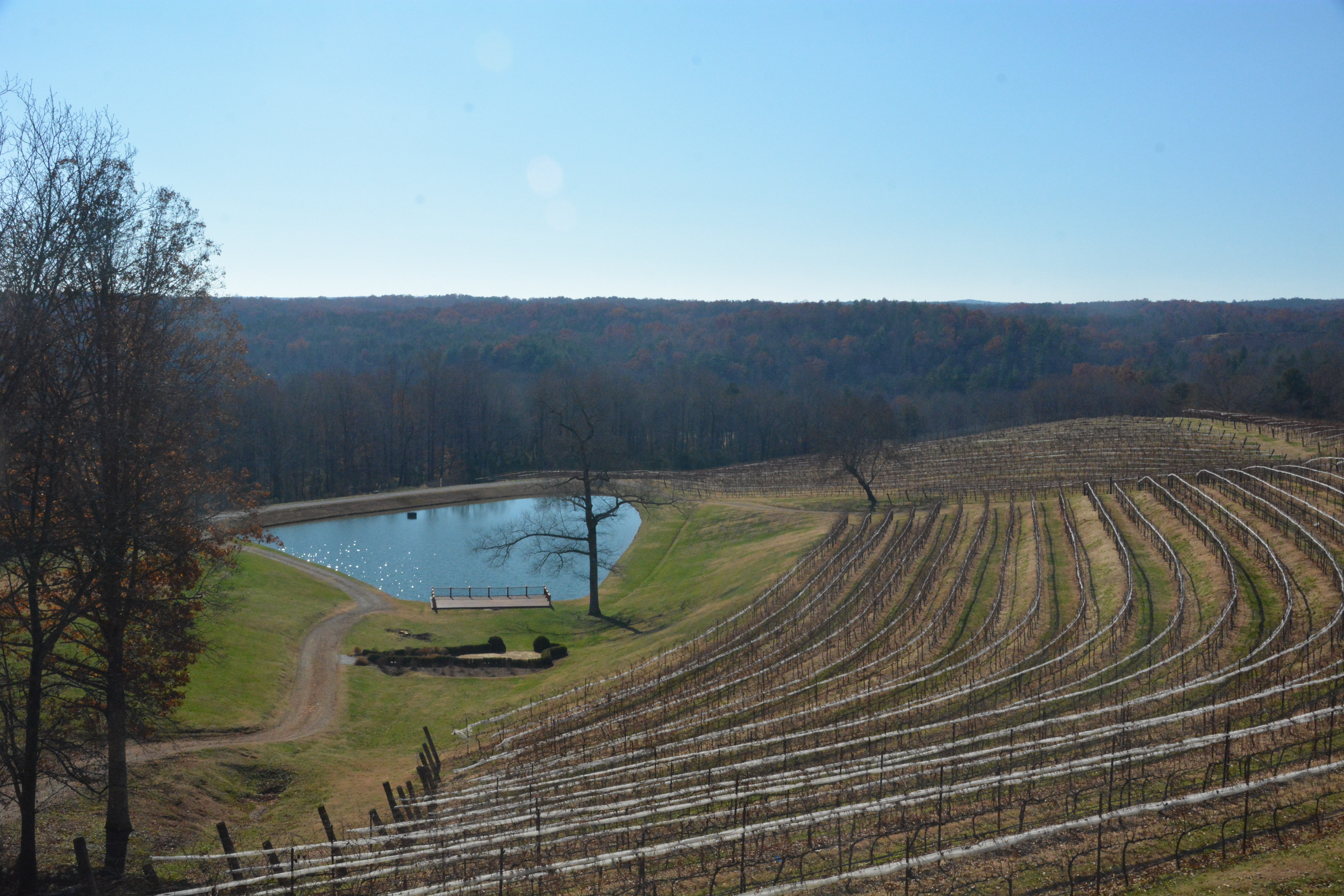 Montaluce - An Italian Delight in North Georgia - Travel With Annita