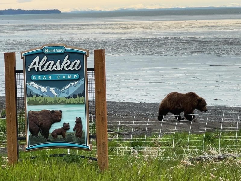 Destination: Natural Habitat Adventures Alaska Bear Camp - Travel With ...